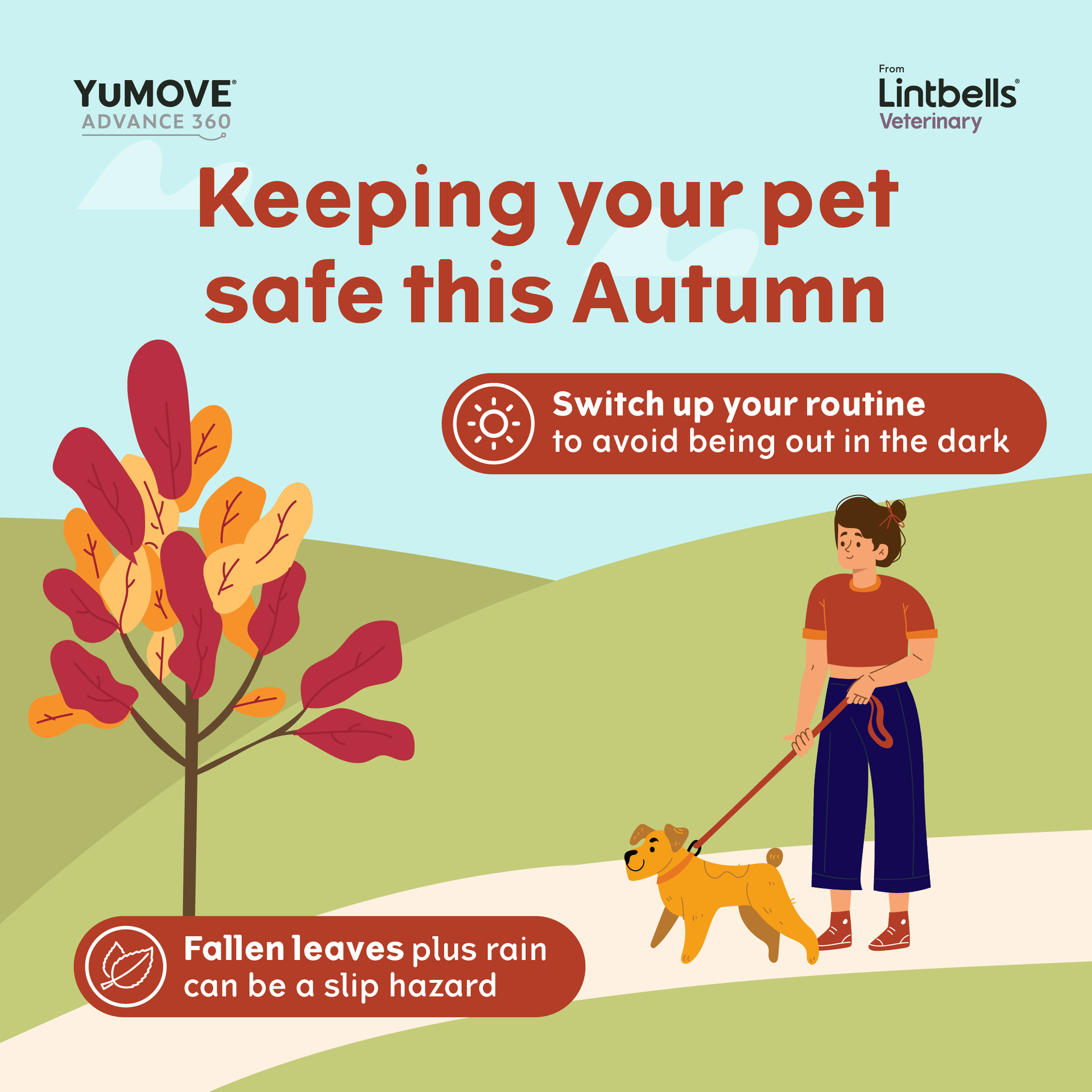 Downloads – Vet Rewards