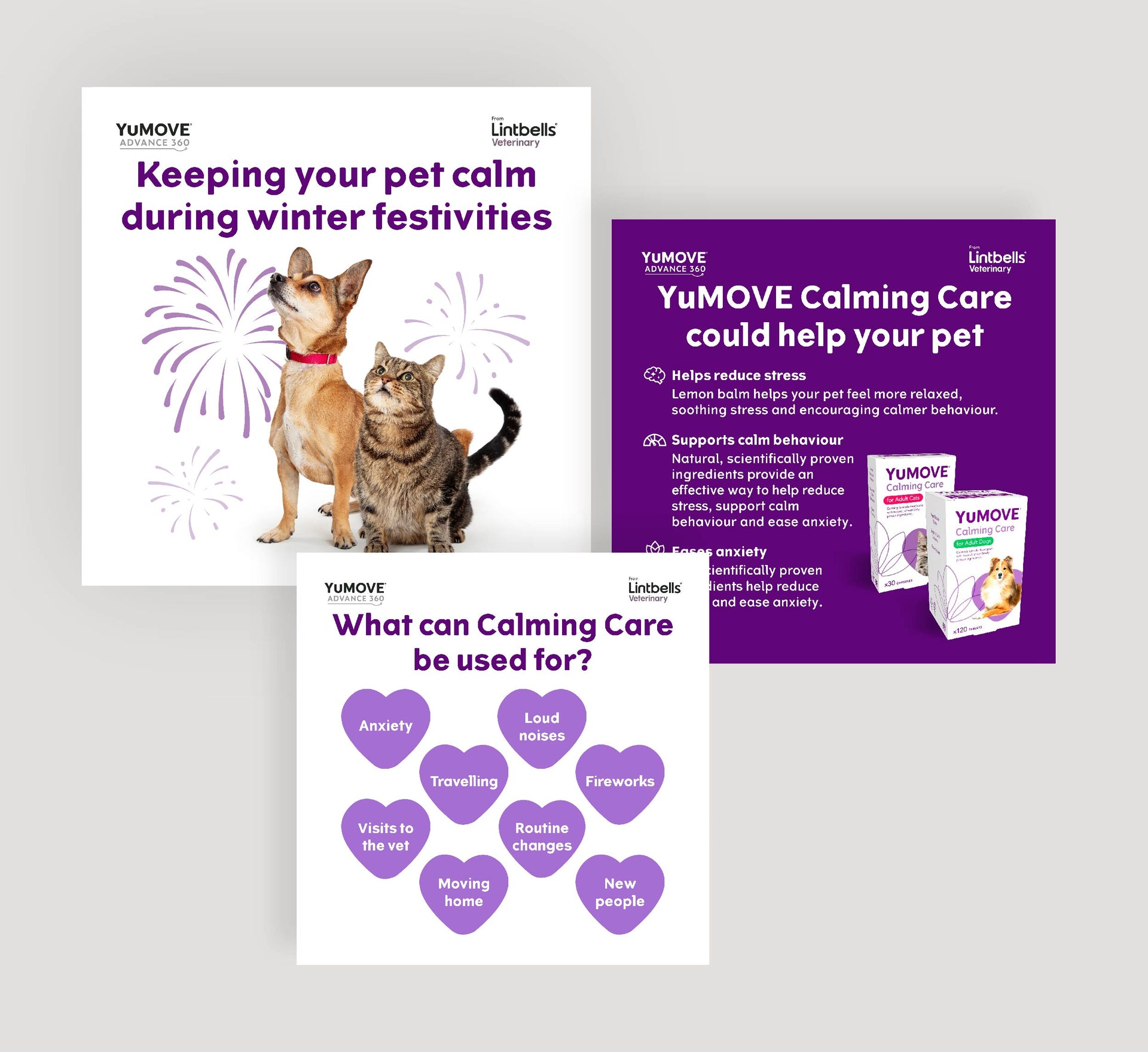 Support Materials – Vet Rewards