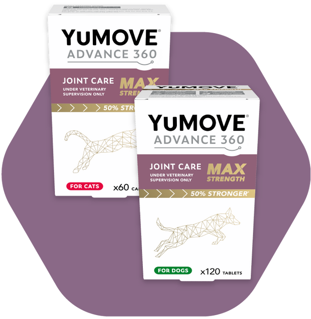 Lintbells Veterinary - Home of YuMOVE ADVANCE 360 – Vet Rewards