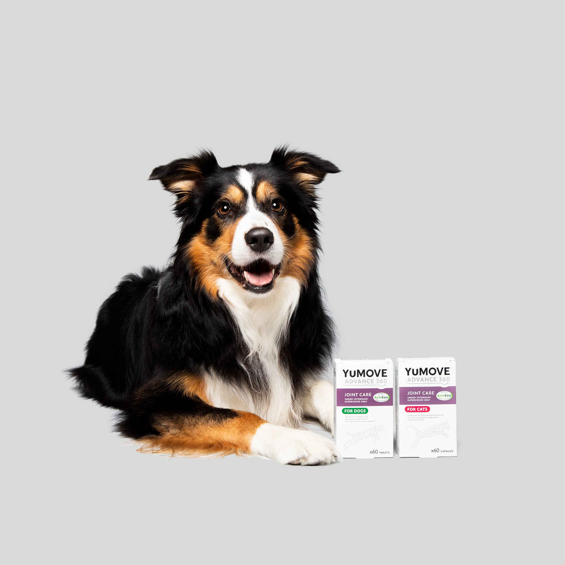 YuMOVE ADVANCE 360 Joint Care for Dogs – Vet Rewards