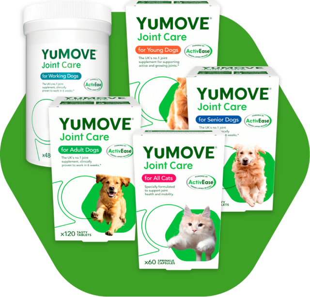 Lintbells Veterinary - Home of YuMOVE ADVANCE 360 – Vet Rewards